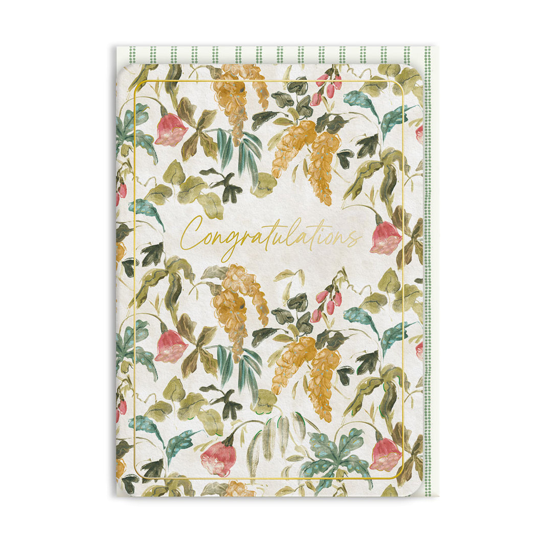 Congratulations Cards Range | Ohh Deer Wholesale