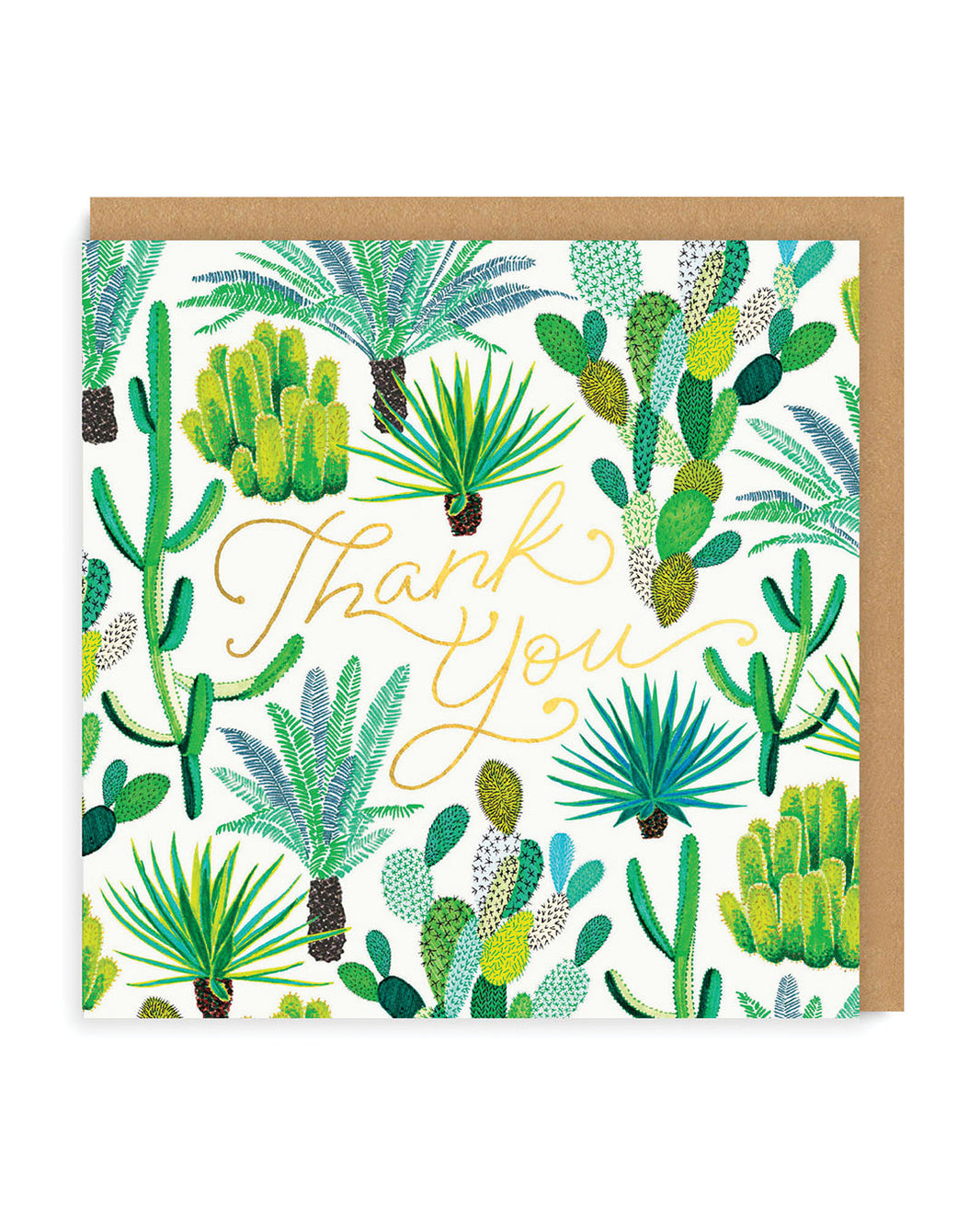 Wholesale Thank You Cards | Ohh Deer Wholesale